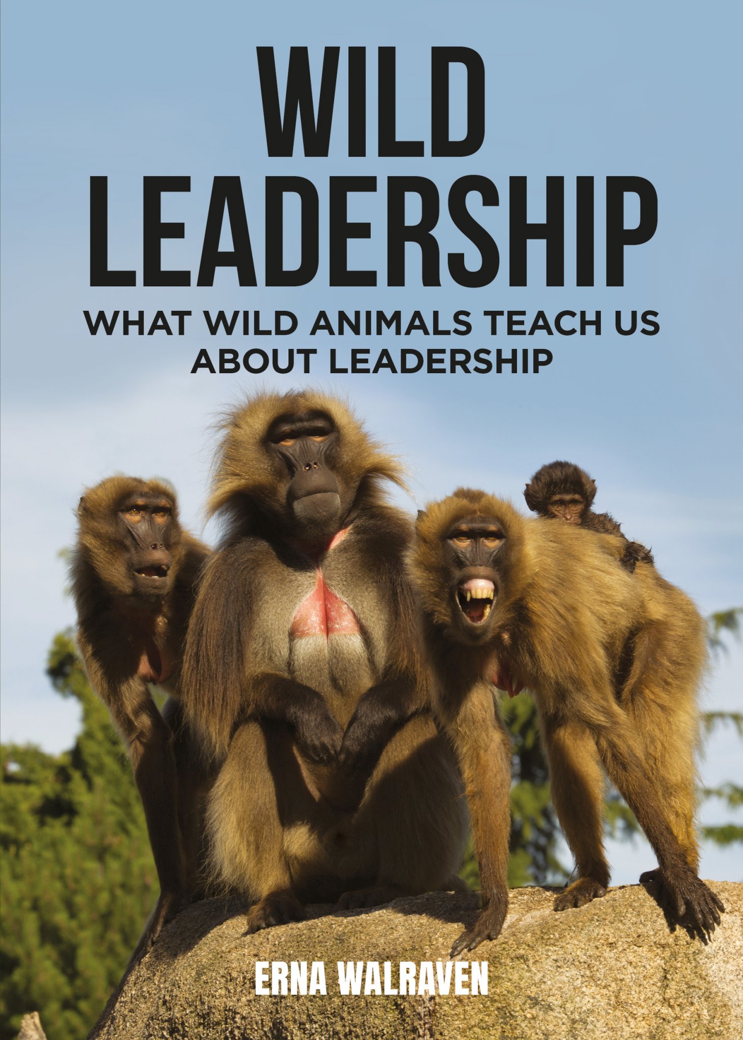 Wild Leadership - The West End Magazine | 4101 Brisbane